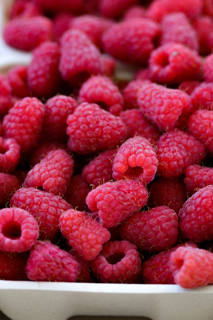 Krause Berry Farms & Estate Winery– Krause Farms Ltd