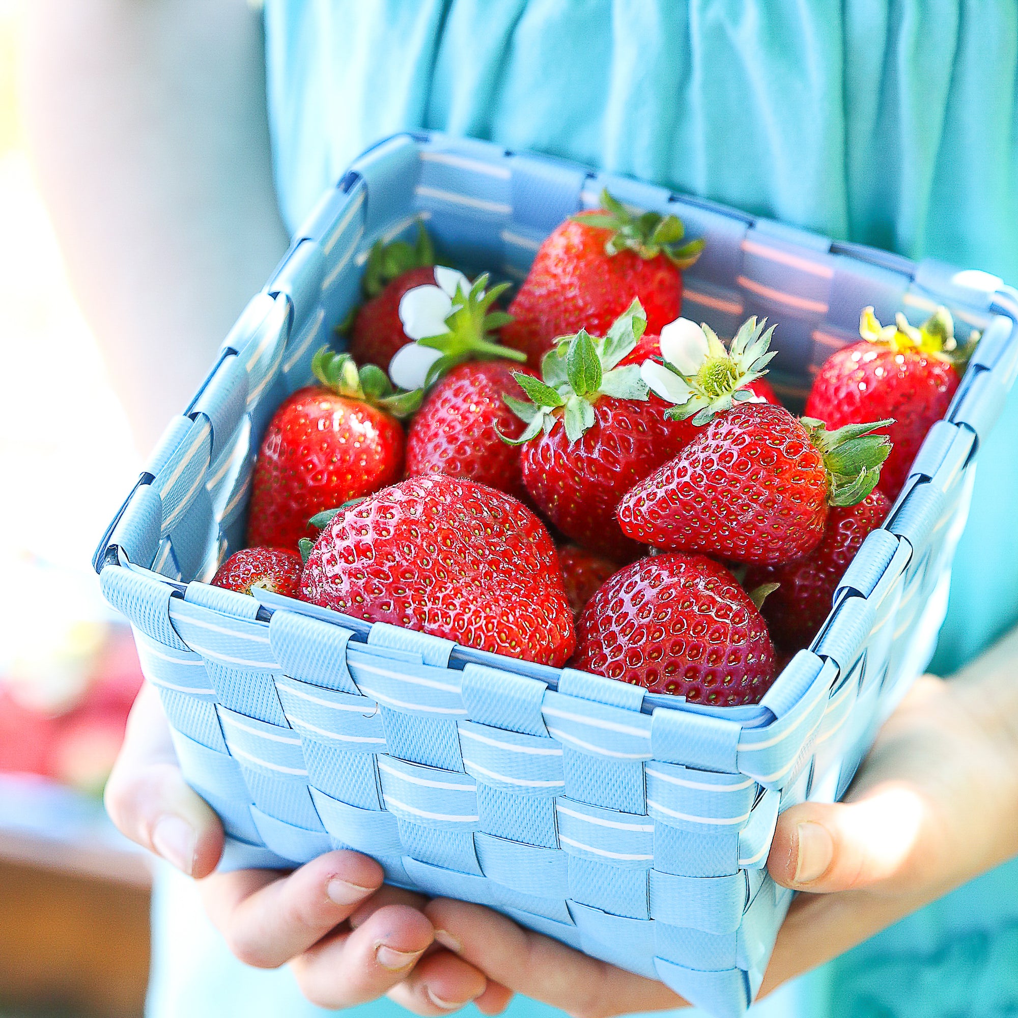 Krause Berry Farms & Estate Winery– Krause Farms Ltd