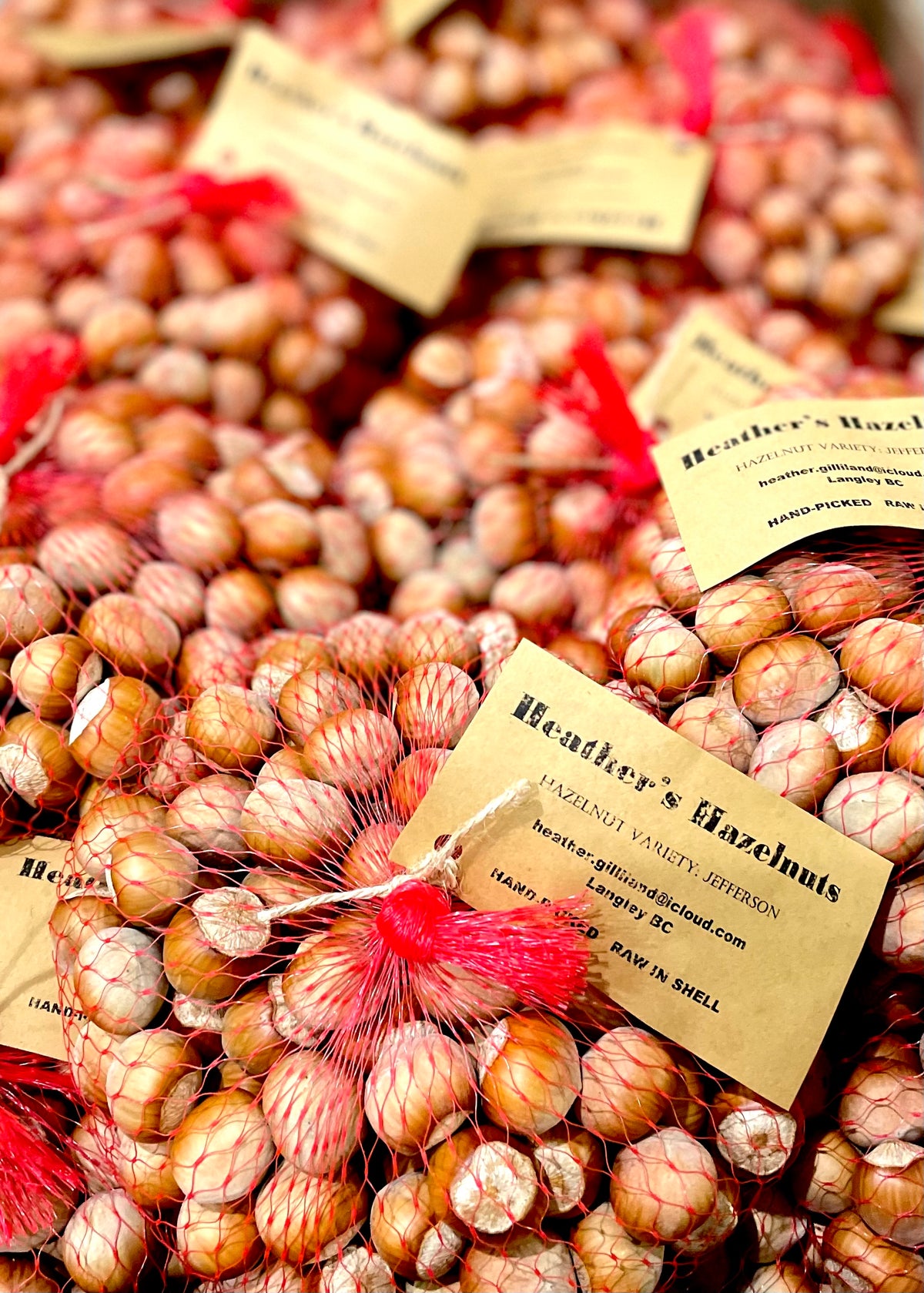 Hazelnuts 1lb– Krause Farms Ltd
